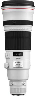 The Canon Lens Experience