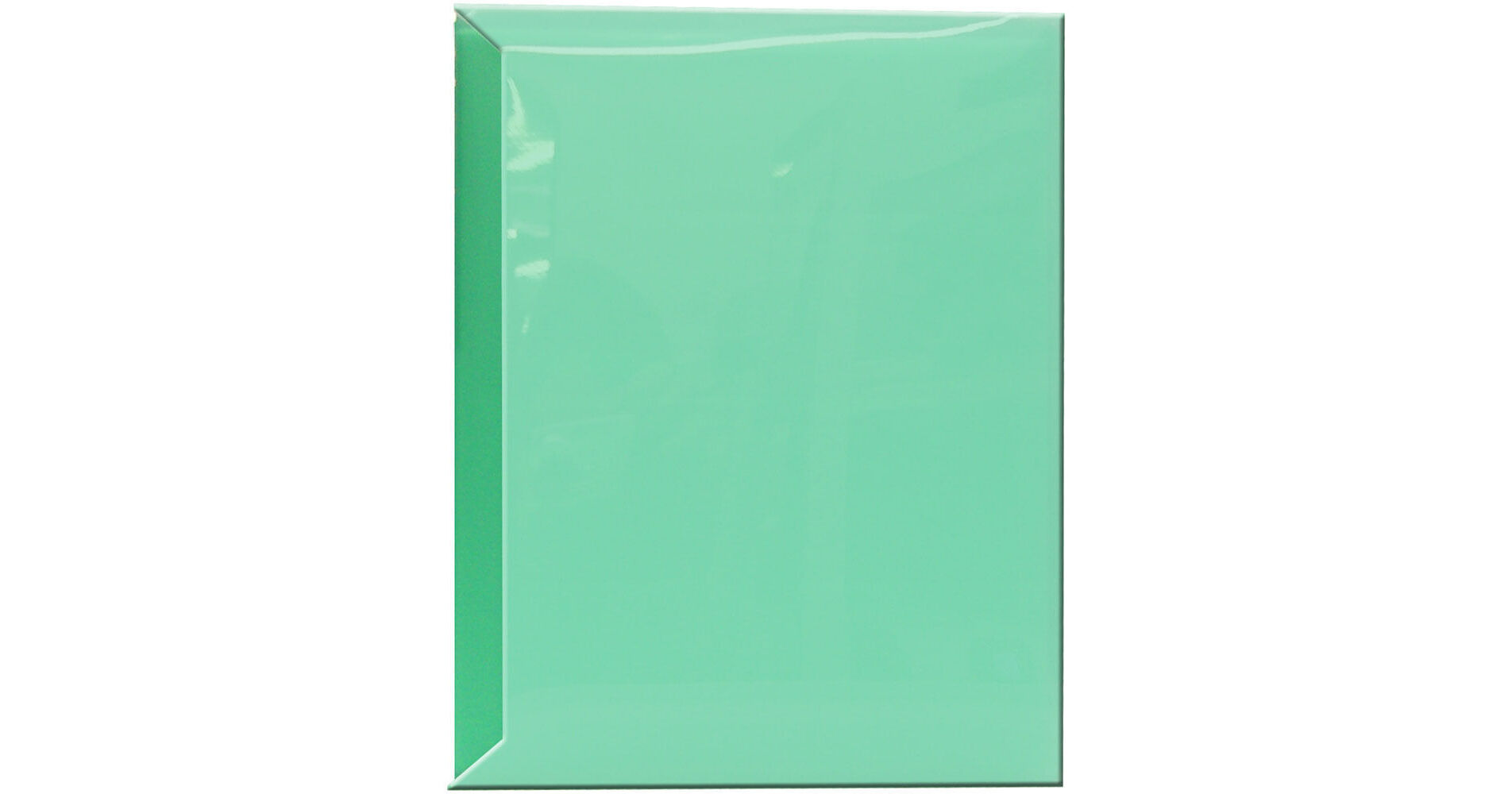 Pioneer Photo Albums CF-2 Space Saver Poly Album (Green) CF2/GN