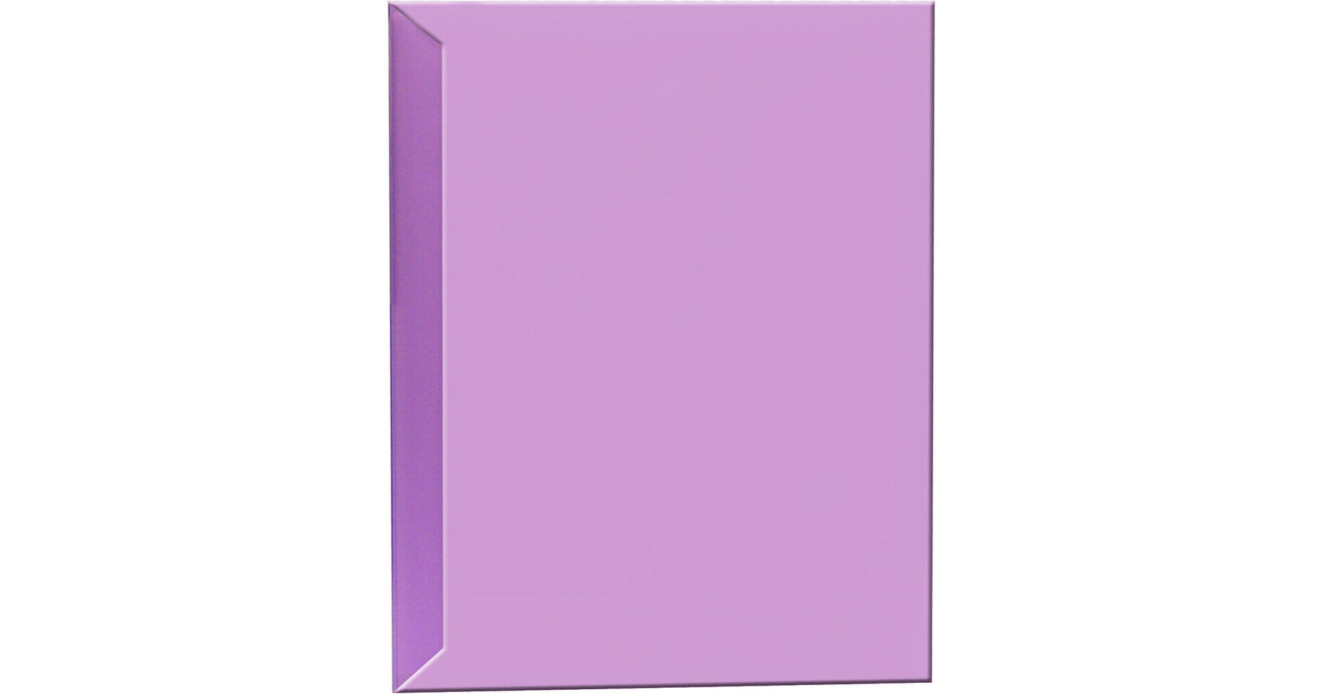 Pioneer Photo Albums CF-2 Space Saver Poly Album (Purple) CF2/PR