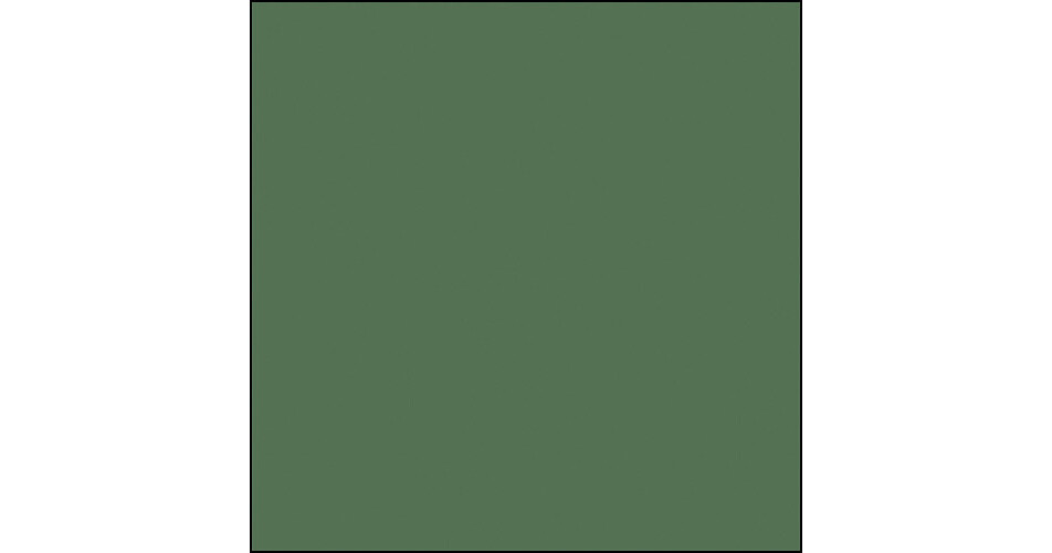 Rosco Permacolor - Primary Green - 5-1/4" Round 120350557133 B&H