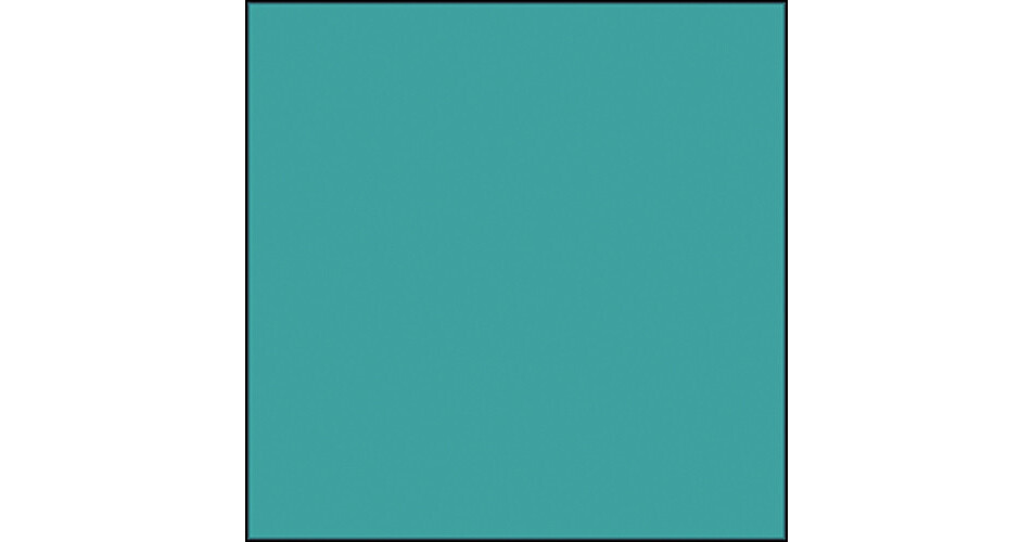 Rosco Permacolor - Fern Green - 5-1/4" Round 120351567133 B&H