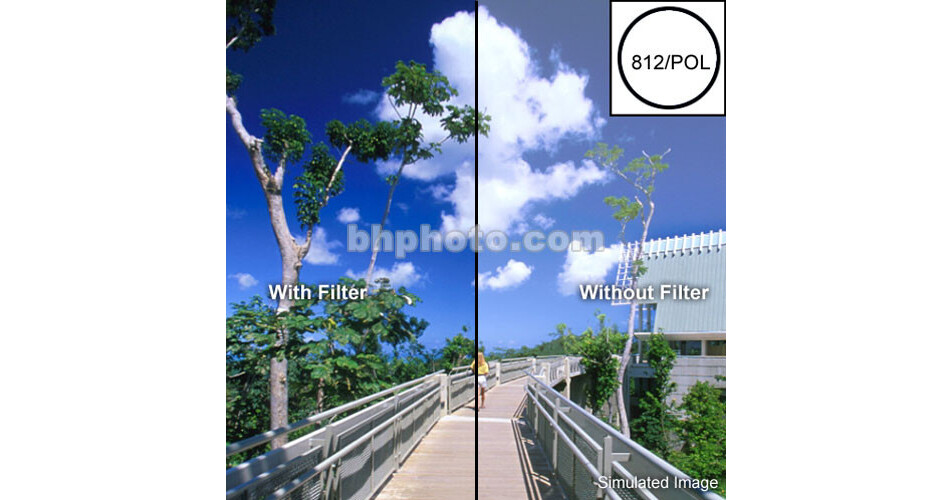 Tiffen 6x4" Warm Linear Polarizing Glass Filter 64WPOL B&H Photo