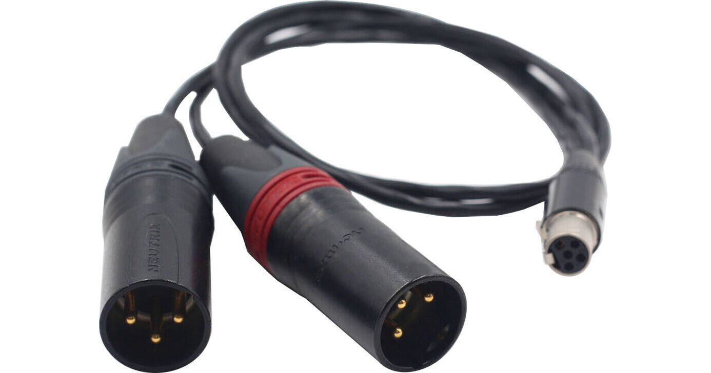 DigitalFoto Solution Limited Dual XLR Male to TA5M Mini XLR AR4