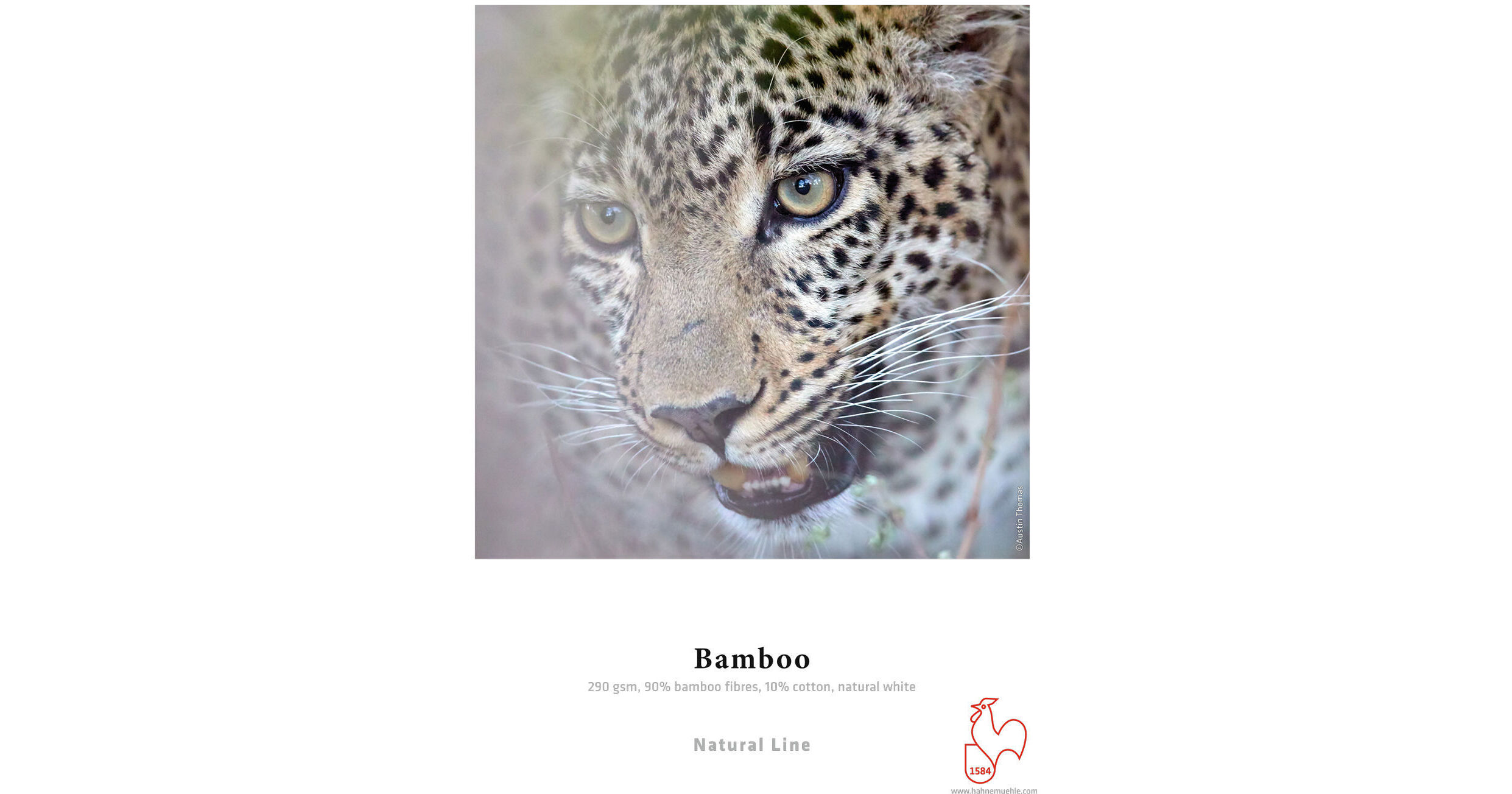 Hahnemuhle Bamboo Fine Art Paper (64" x 39' Roll) 10643660 B&H