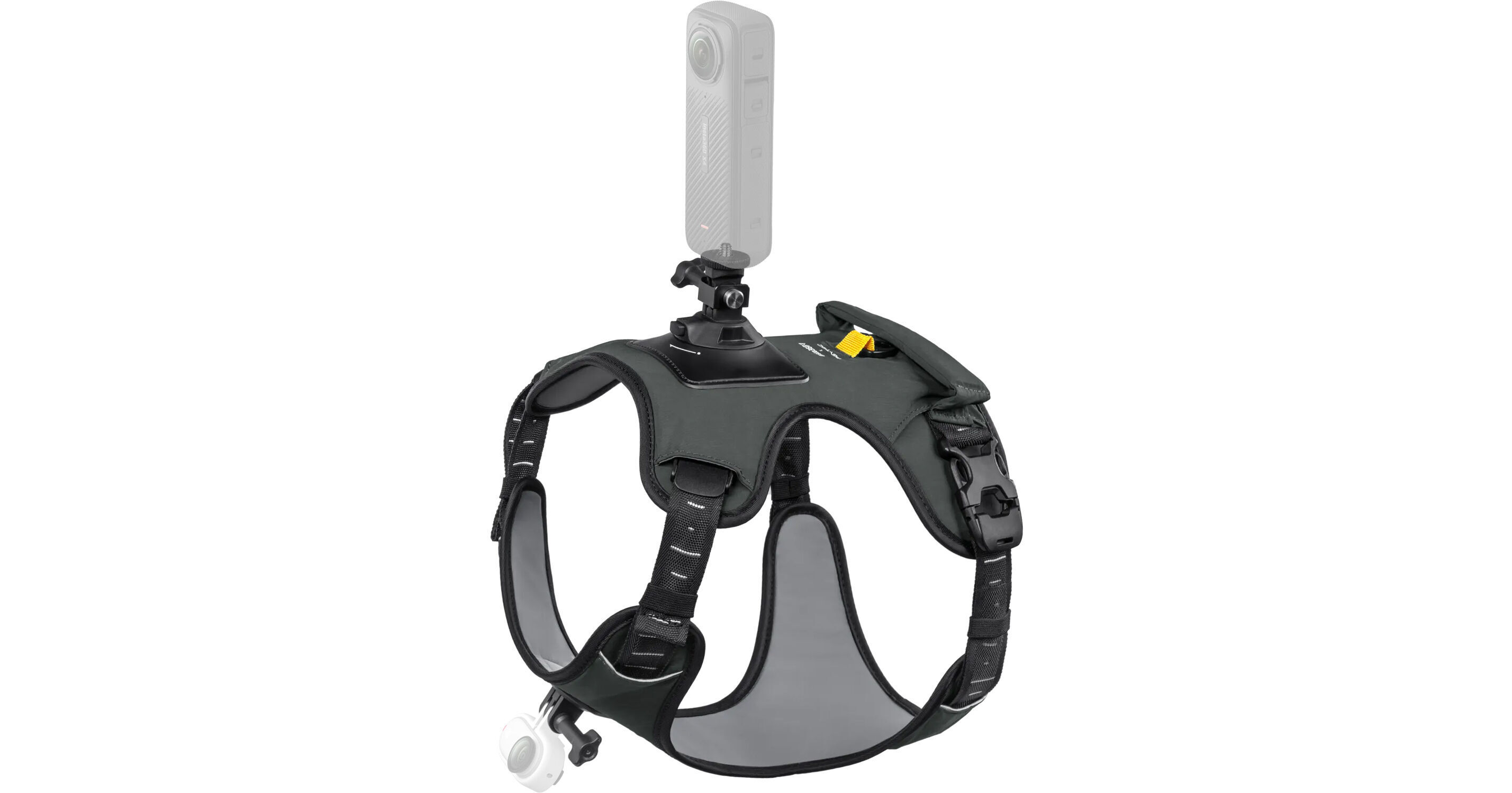 Insta360 Pet Harness Mount Kit (Large) CINSBAVZ B&H Photo Video