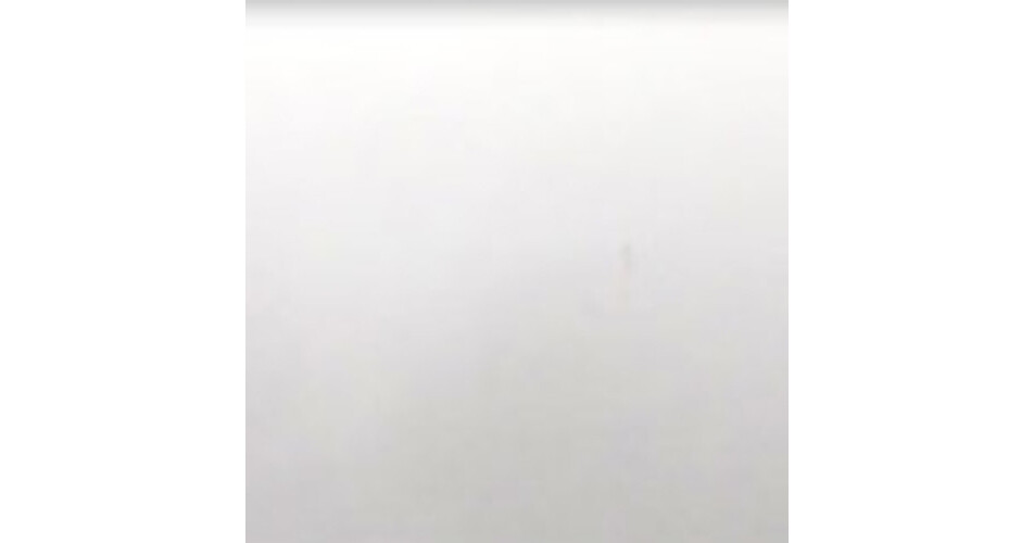 LEE Filters Half White Diffusion Filter (60" x 25' Roll) 250RW