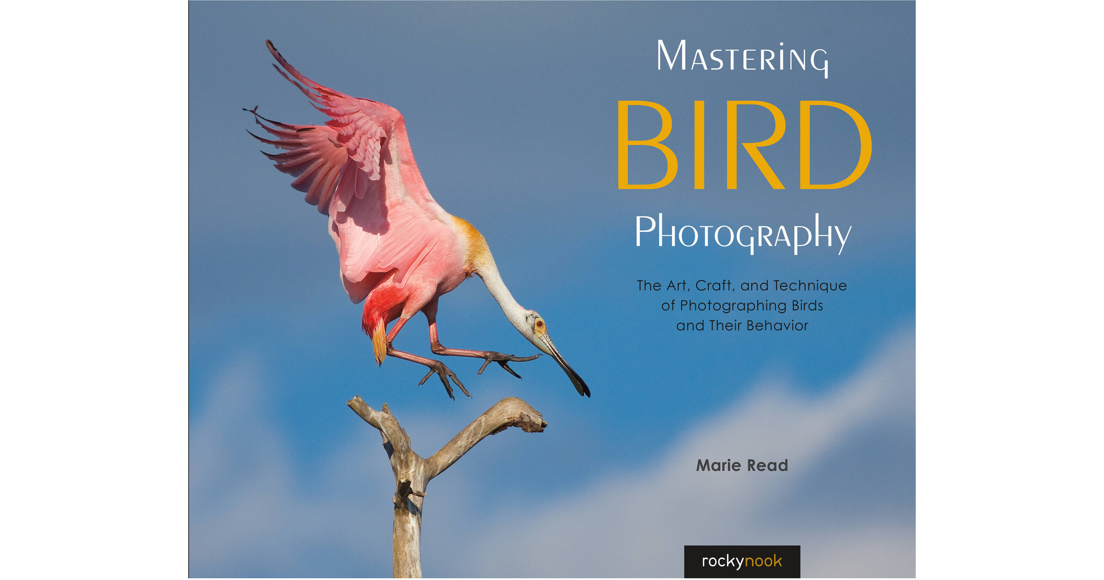 Rocky Nook Mastering Bird Photography: The Art, 9781681983622