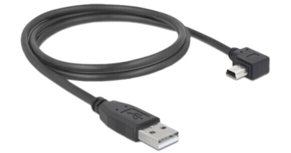 Pegasus Astro USB-A 2.0 Male to USB-Mini B 5-Pin USB2MINI-1M B&H