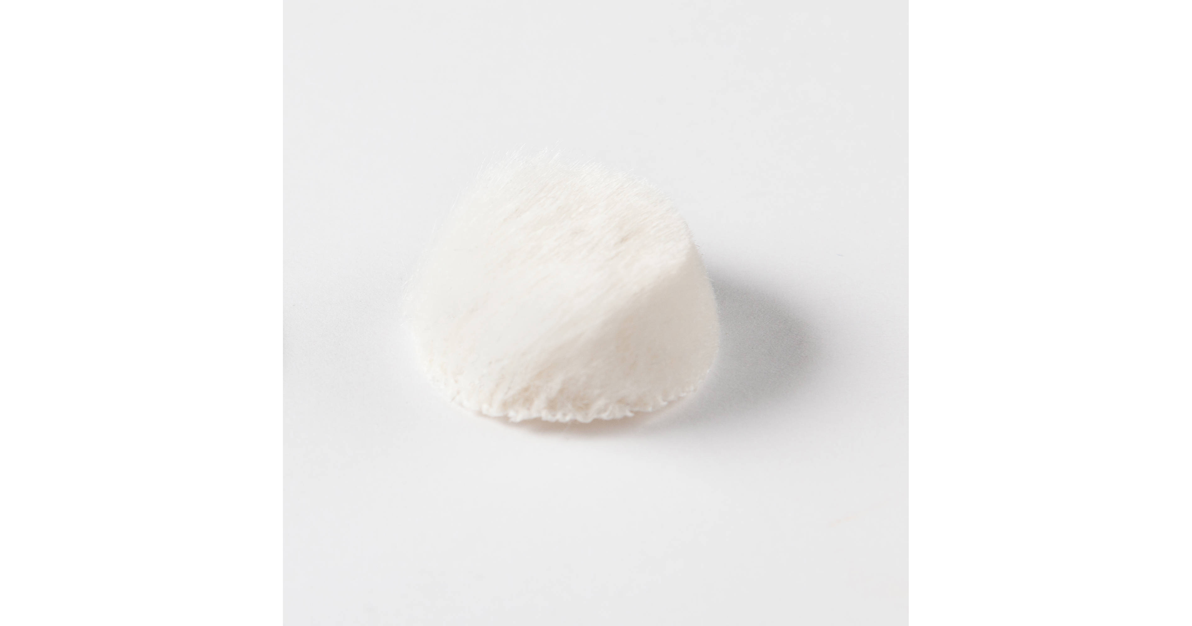 Rycote Overcovers Advanced Fur Discs for Lavalier 066324 B&H