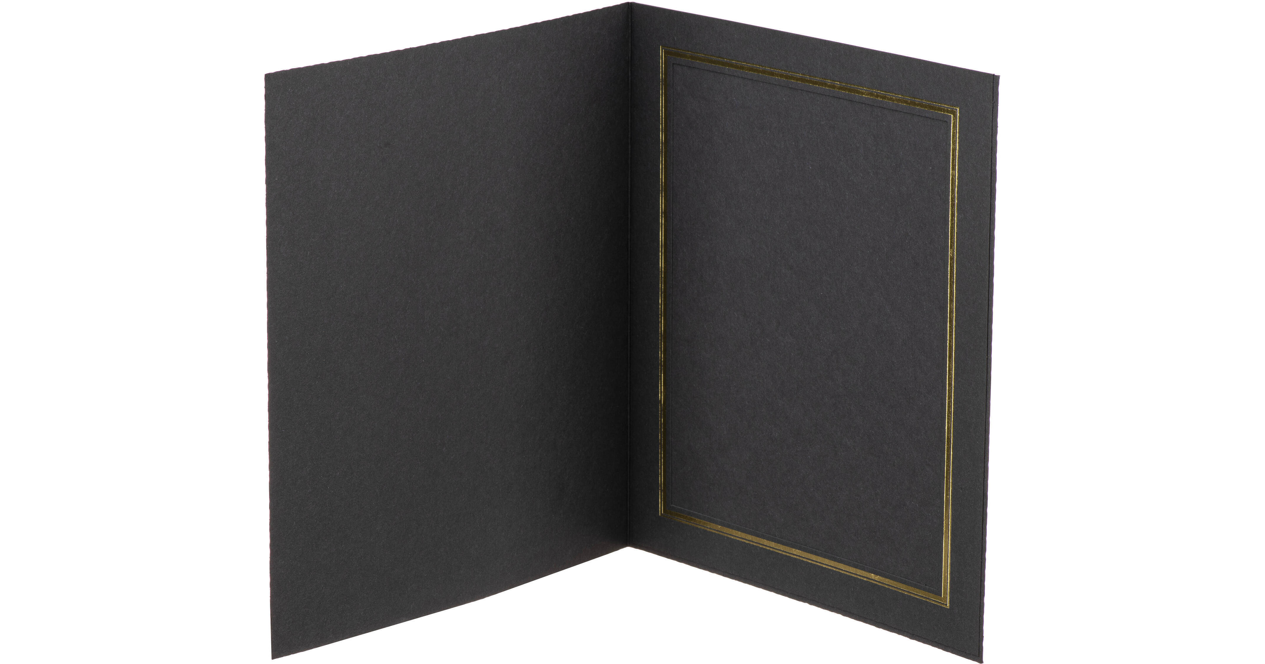 Tap Profit Line T-50 Portrait Folders TFEBT5080 B&H Photo Video