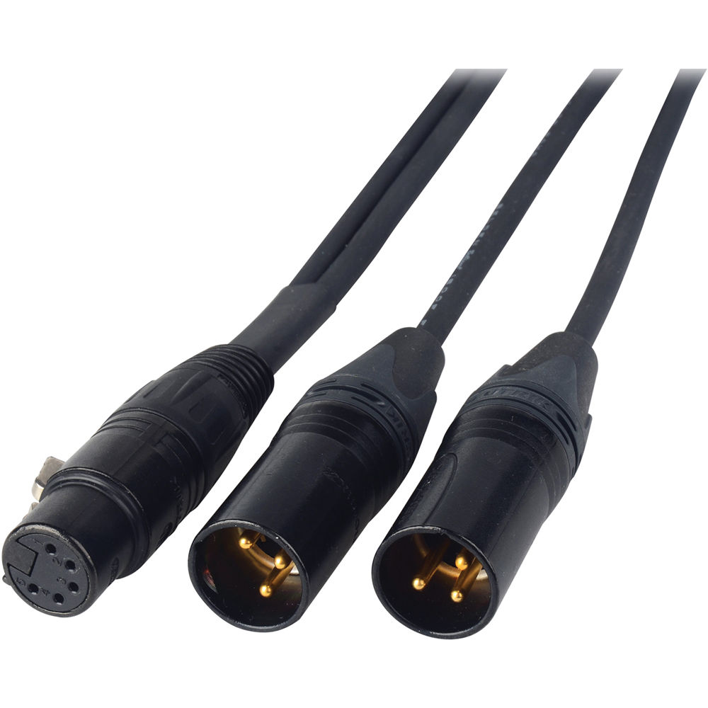 Laird Digital Cinema 5-Pin Female XLR to Dual 3-Pin SD-AUD6-03