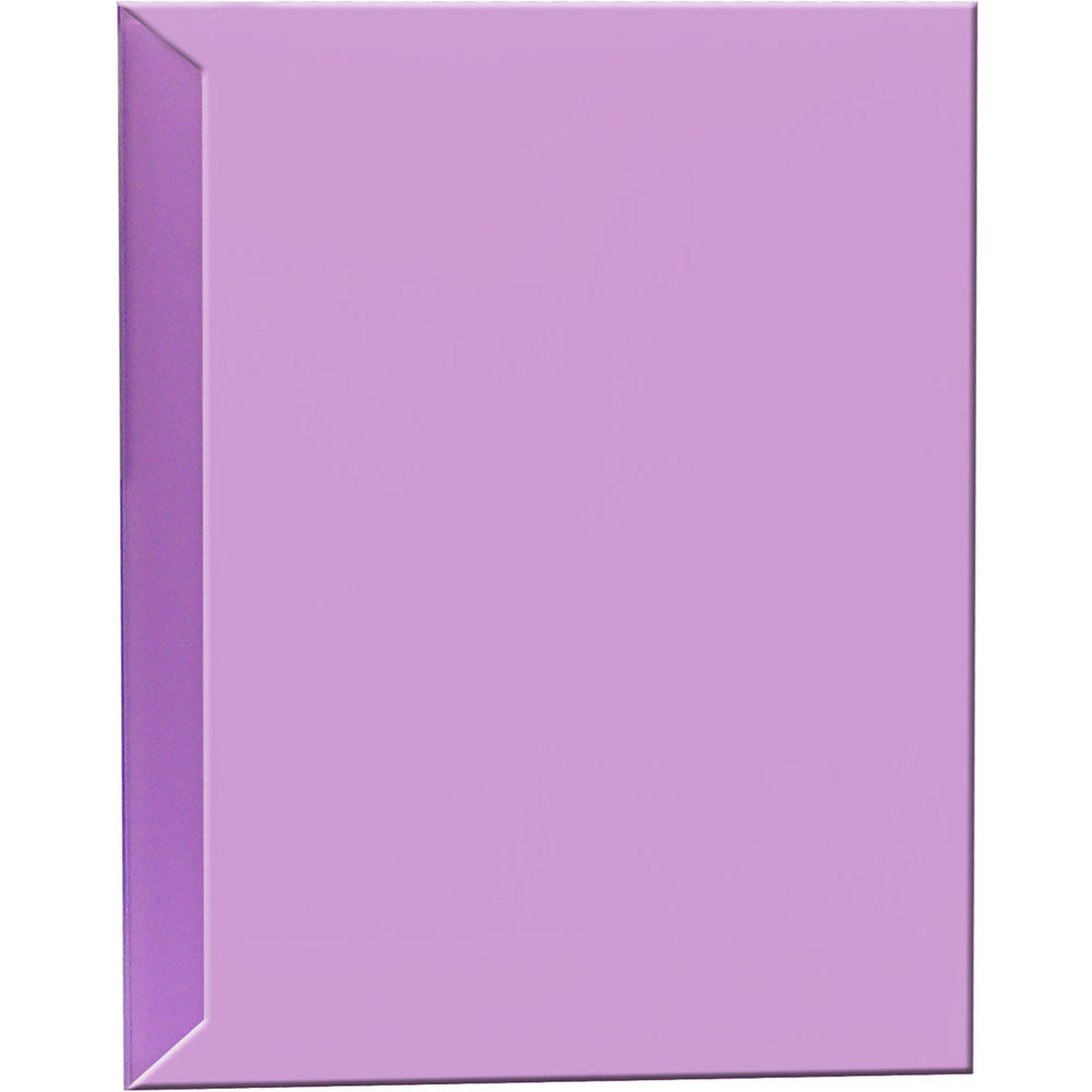 Pioneer Photo Albums CF-2 Space Saver Poly Album (Purple) CF2/PR