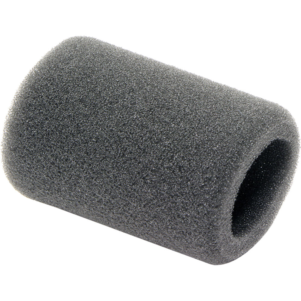 Schoeps B1 Simple Capsule Guard (Anthracite) B 1 B&H Photo Video