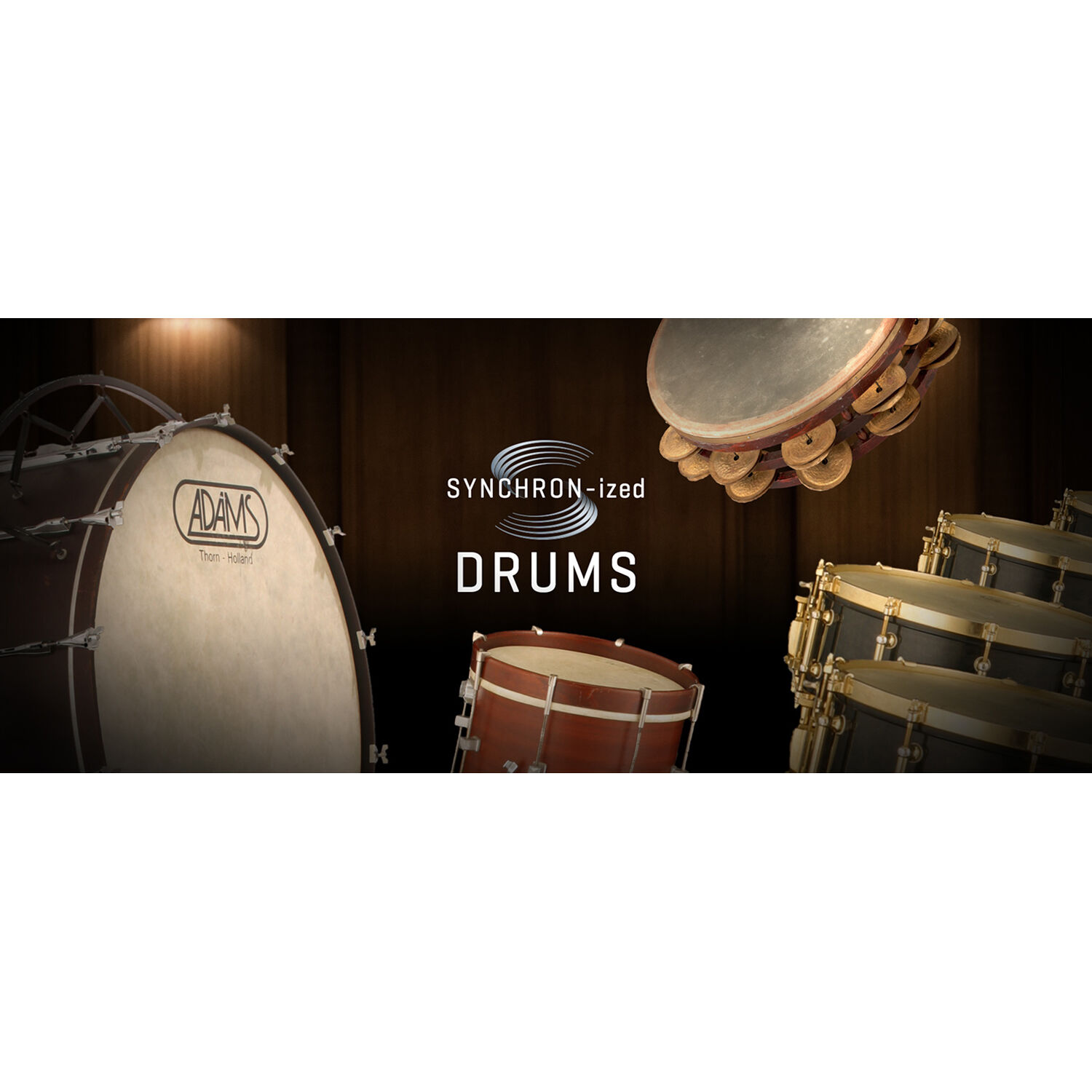Vienna Symphonic Library SYNCHRON-ized Drums Virtual VSLSYY65