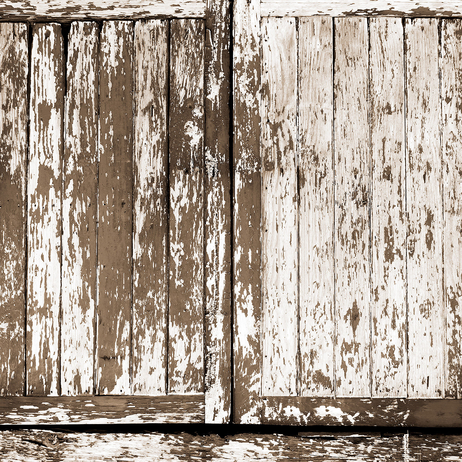Rustic Wood Panel Background