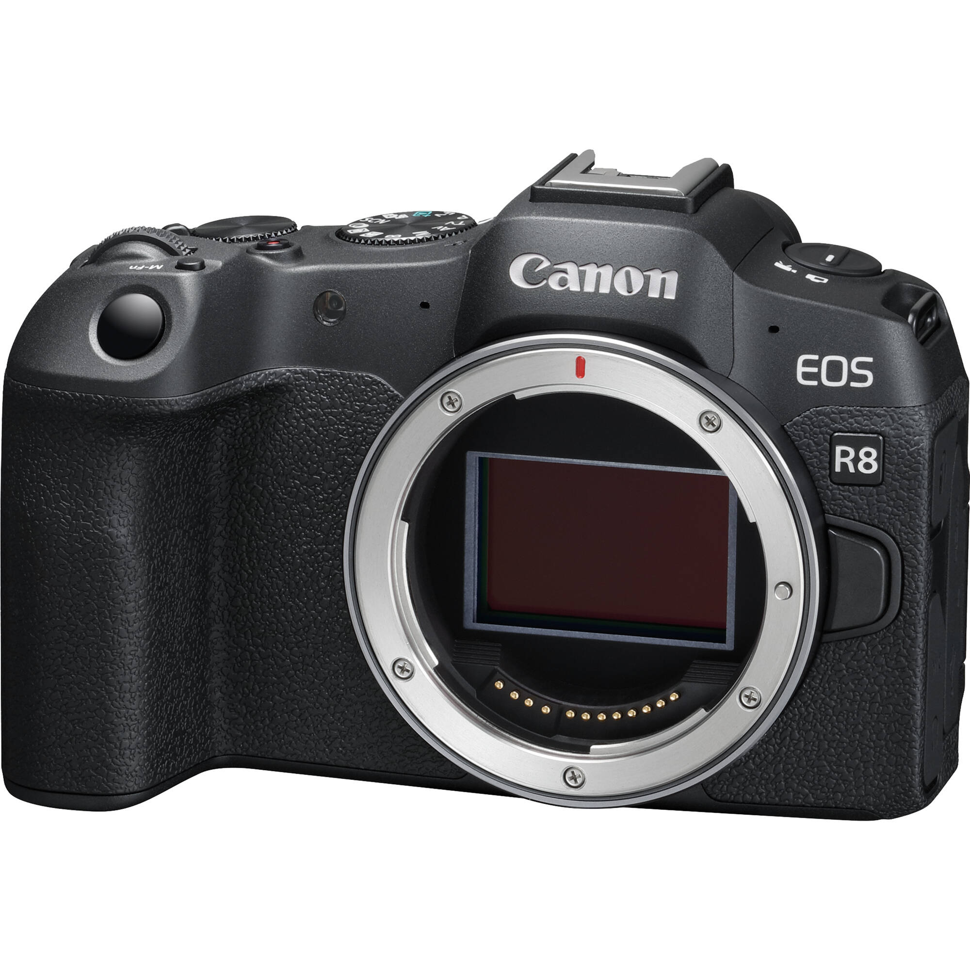 Canon R8 EOS Mirrorless Camera R8 Camera Body MFR 5803C002 B H Photo