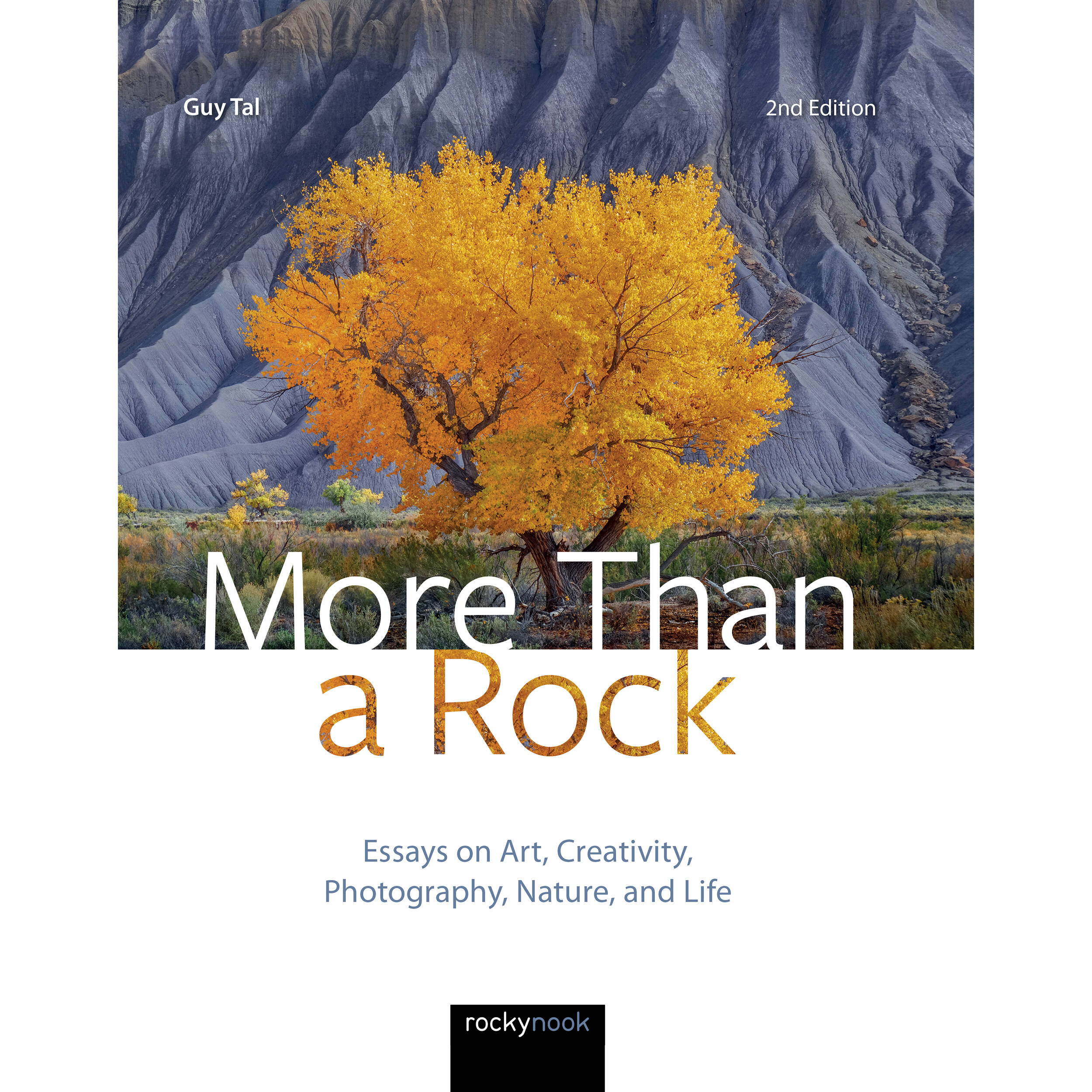 Guy Tal More Than a Rock, 2nd Edition (Hardcover) 9781681986838
