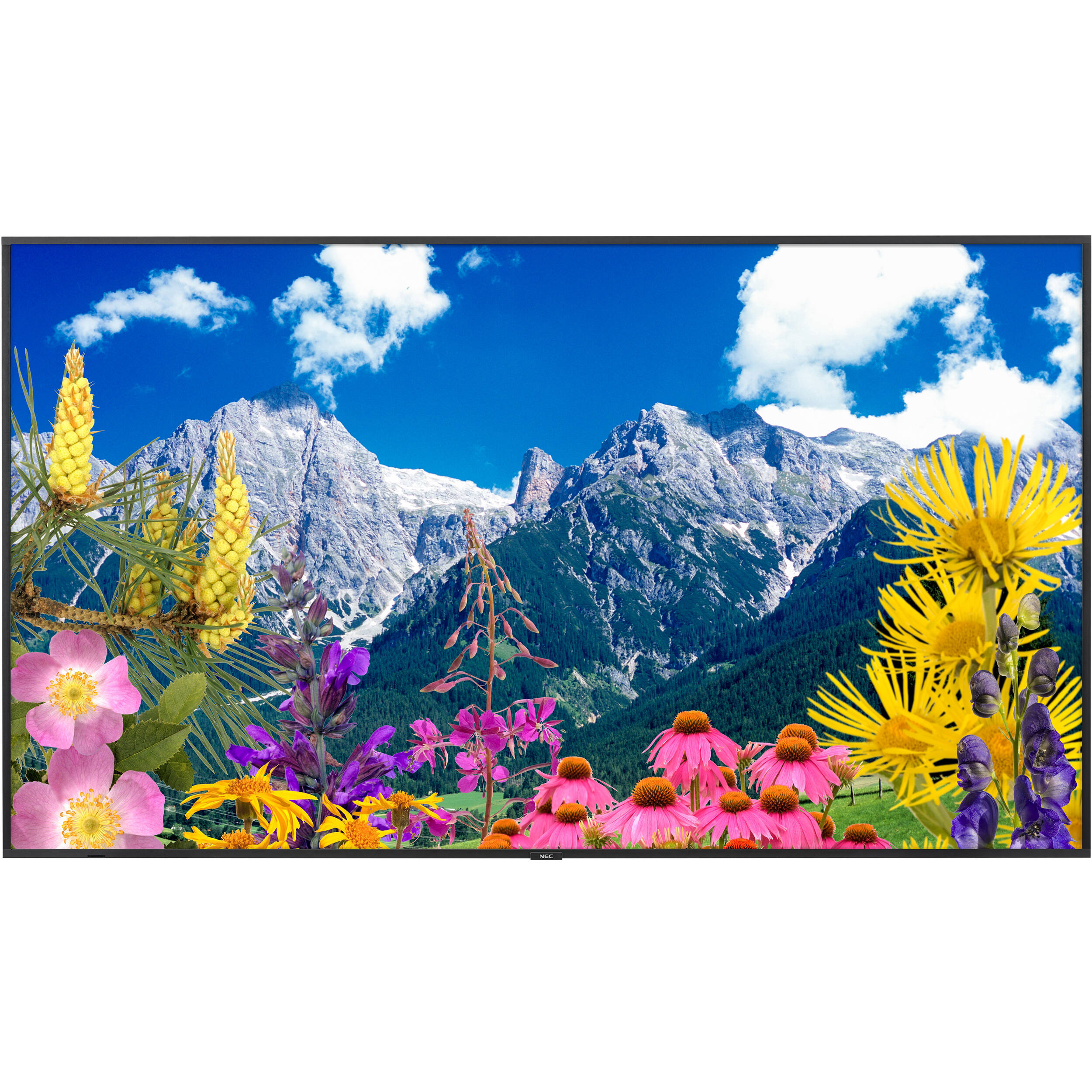 Sharp M861-AVT3 86" UHD 4K HDR Commercial Monitor M861-AVT3 B&H