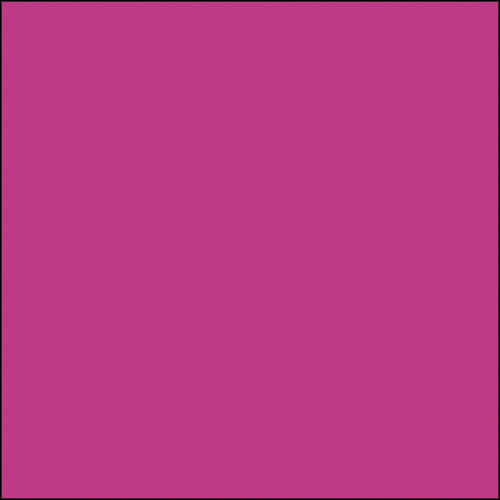 Rosco Permacolor - Medium Pink - 2" Round 120347587495 B&H Photo