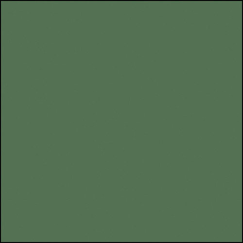 Rosco Permacolor - Primary Green - 6.3" Round 120350557160 B&H