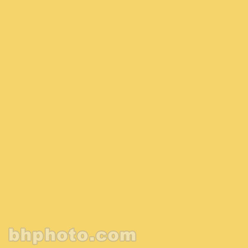 Rosco Permacolor - Yellow - 5-1/4" Round 120352007133 B&H Photo
