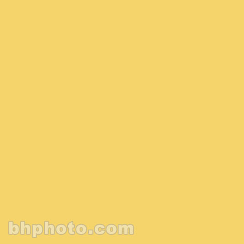 Rosco Permacolor Glass Filter (Yellow, 2 x 2") 120352007508 B&H