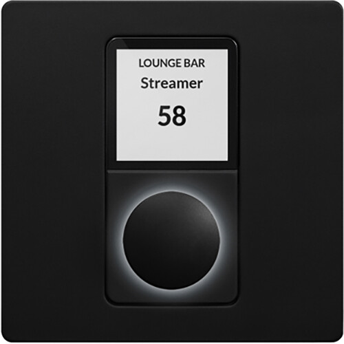 Ashly FXC Wall Controller for FX Amplifiers - EU (Black)