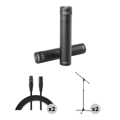 DPA Microphones ST2012 Cardioid Microphone Kit with Stands